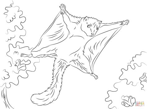 Dibujo De Linda Ardilla Voladora Para Colorear Dibujos Para Colorear