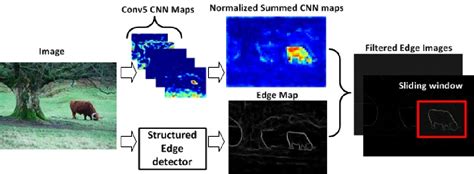 Figure 1 From Object Proposals Using Cnn Based Edge Filtering