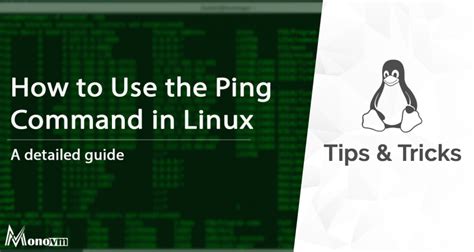 Linux Ping Command CentOS Debian Ubuntu How To Ping In Linux