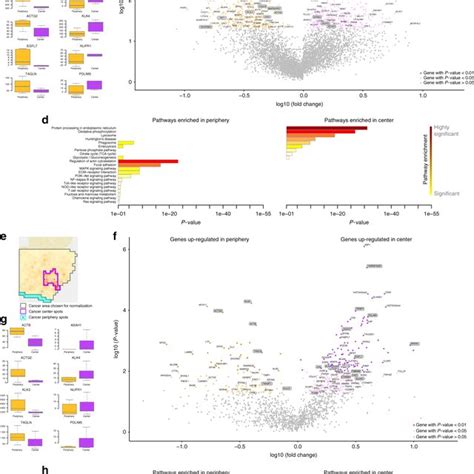 Spatial Comparison Of Periphery And Center Of Tumor Transcriptomes A D