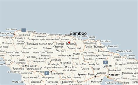 Bamboo Weather Forecast