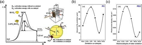 Schematic Energy Diagrams For Different Types Of Photocatalytic Overall Download Scientific