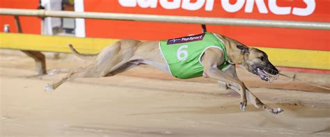 Grnsw Ubiquitous Ready To Thunder