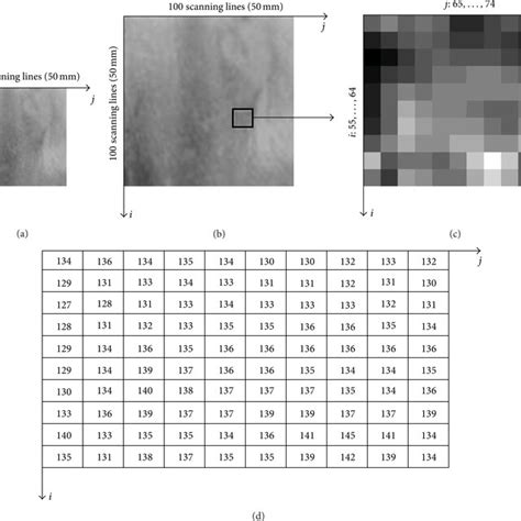 An Example Of Original Discrete Function F I J Of Digital Image Download Scientific Diagram