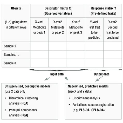 Chemometric Analysis Of Metabolomics Data Multivariate Data Analysis Download Scientific