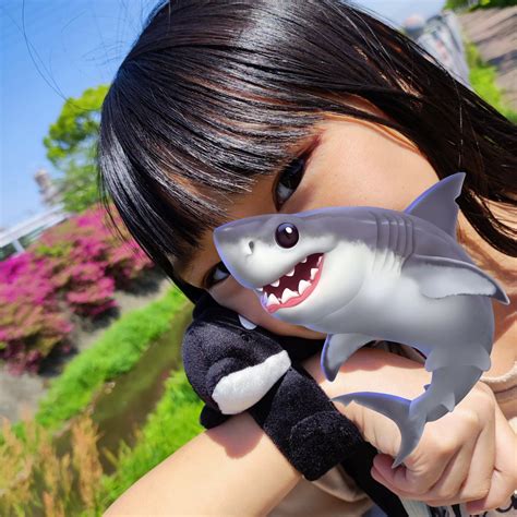 てのひらモンスター on Twitter そういえば 神戸レプタイルワールド のお迎え報告忘れてたwww おむつさん