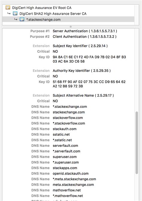 ssl subject alternative name must have scheme to be working in java
