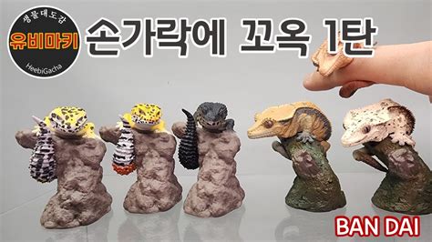 나무위에 도마뱀이 생물대도감 손가락에 꼬옥 1탄 레오파드게코도마뱀 크레스티드게코도마뱀 Youtube