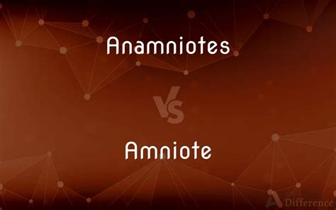 Anamniotes Vs Amniote — Whats The Difference