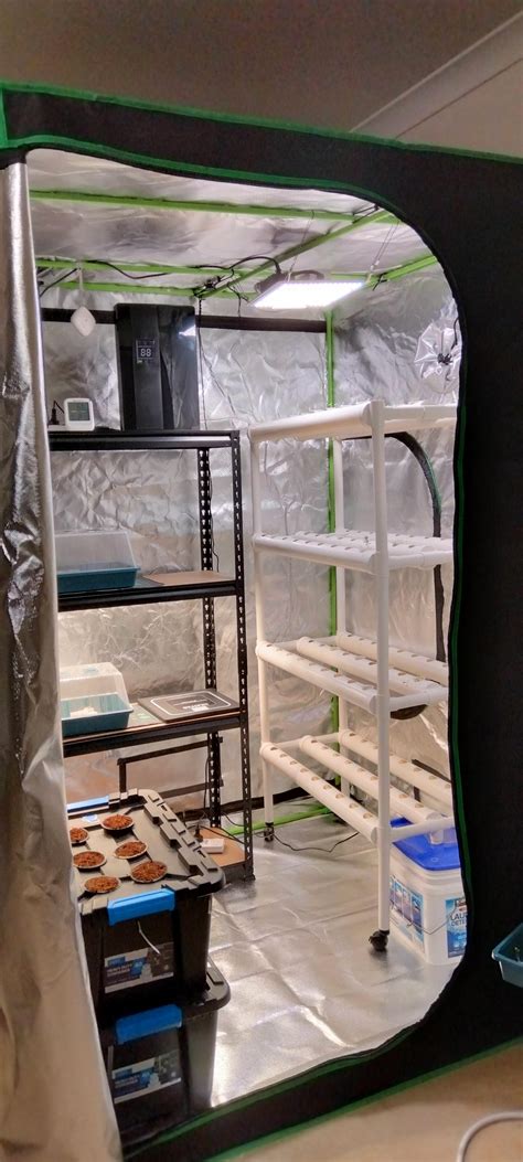 My Hydroponics Set Up New At This So I M Still Learning A Lot And Still Experimenting R