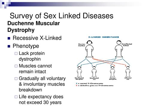 Human Genetics Ppt Download