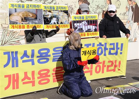 동물보호단체 윤석열 후보 식용개 발언 사과하라 오마이뉴스