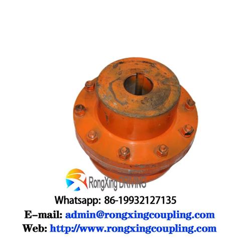 Customized Js Steel Grid Coupling Grid Shaft Coupling China Custom Stainless Clz Rongxing