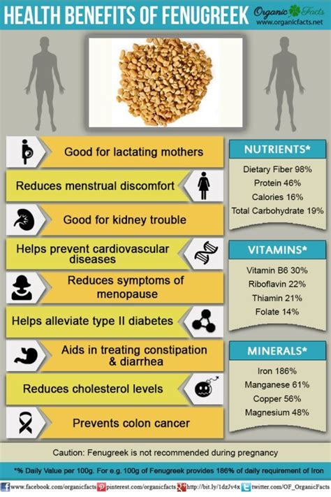 Uncover The Health Benefits Of Fenugreek Fenugreek Benefits Women
