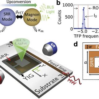 A Schematic Illustration Of The Coupling Process Between The Download Scientific Diagram