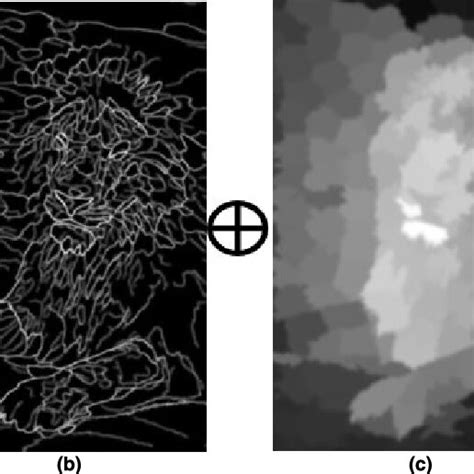 final height map d for bump mapping is created by blending the a