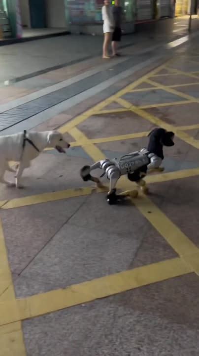 [video] Cube Robot X Posted On Linkedin