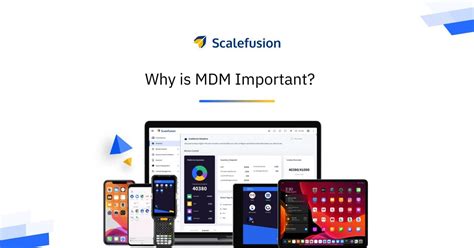 Not Using An Mdm Here Are 5 Strong Reasons Why You Should Rsaasblogs