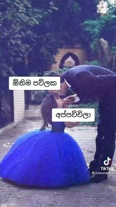 අ පි නෑ බ න් එ හෙ ම ආ ද රෙ ය ක් Youtube