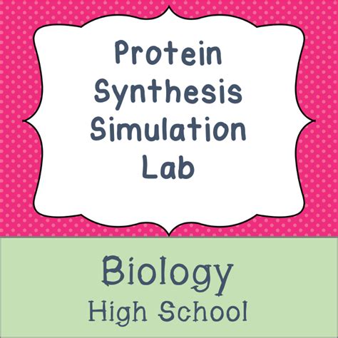 Protein Synthesis Simulation Lab Artofit