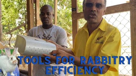 Tools To Make Your Rabbitry Efficient Tips On Breeding Automated