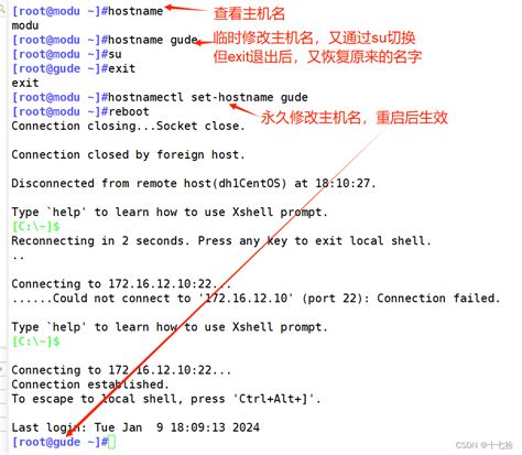 Linux网络的命令和配置linux网络管理命令 Csdn博客