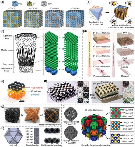 Multi‐physical Lattice Metamaterials Enabled By Additive Manufacturing
