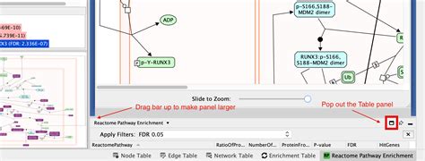 Module 4 Lab Reactomefi Pathway And Network Analysis Of Omics Data