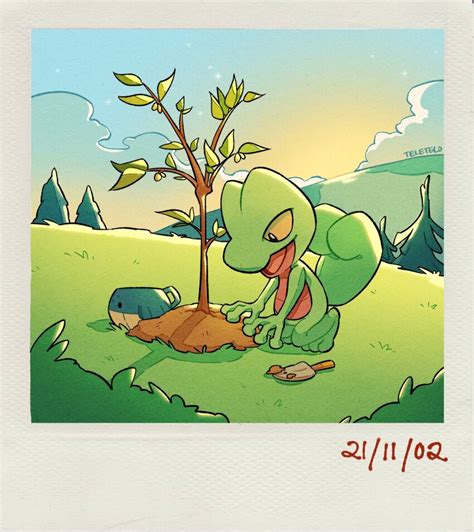 Teletelo Treecko Wailmer Creatures Company Game Freak Nintendo Pokemon Highres D