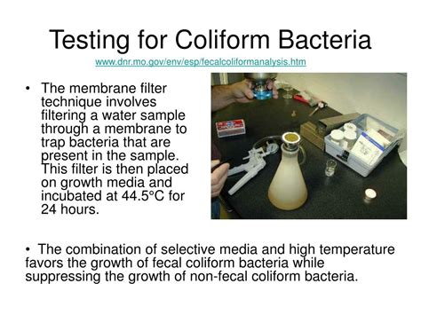 Ppt Water Quality Fecal Coliform How Is Water Quality Affected By Interactions In A Watershed