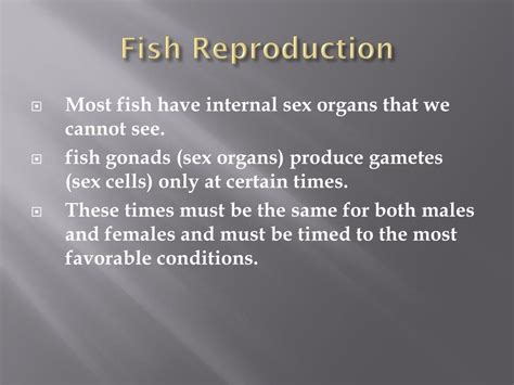 Ppt Osteichthyes Powerpoint Presentation Free Download Id 5338149