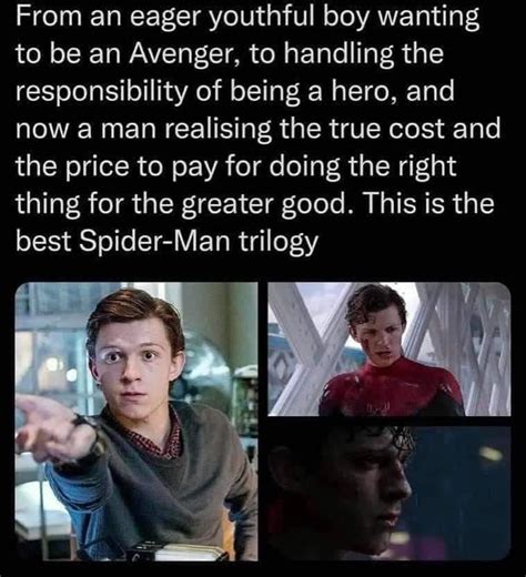 Mcu Trilogy R Spiderman