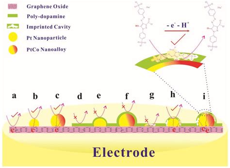 Article Mdpi Electrochemical Graphene Molecular Biosensors Sensors Openaccess Abstract