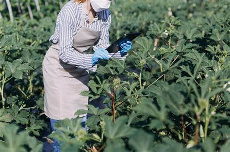 미래의 사업가는 휴대폰 온도 및 습도 센서를 사용하여 현대 Ai 기술을 사용하여 채소와 작물을 재배합니다 물 추적 기후 제어 홀로그램 데이터 데이터 아이콘 프리미엄 사진
