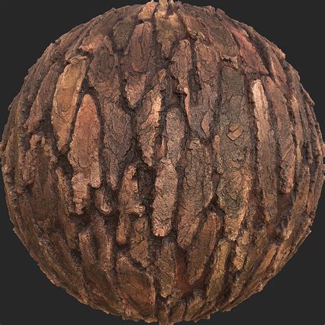 Waxy Tree Trunk Bark Texture Free Pbr Texturecan