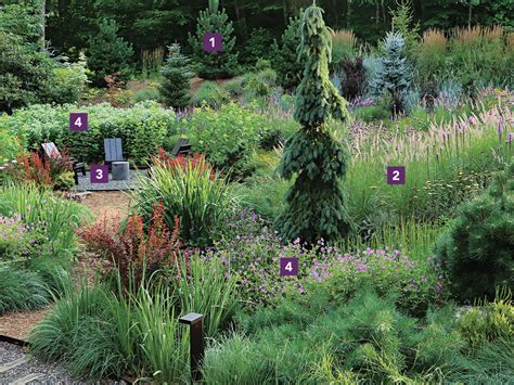 Traditional Vs Stylized Meadow Gardens Fine Gardening
