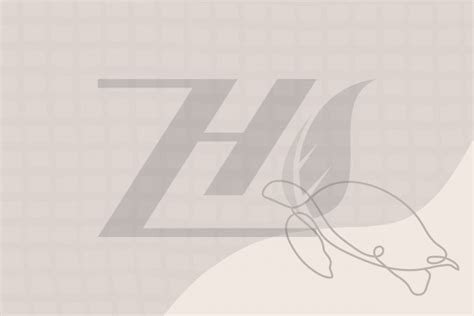 دانلود وکتور پس زمینه بژ طرح لاک پشت دانلود رایگان فایل لایه باز، Psd، وکتور، لوگو و موکاپ