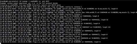 Kubernetes 网络排错骨灰级中文指南 Kubernetes网络权威指南 Kubernetes 网络排错骨灰级中文指南 Kubernetes网络权威指南
