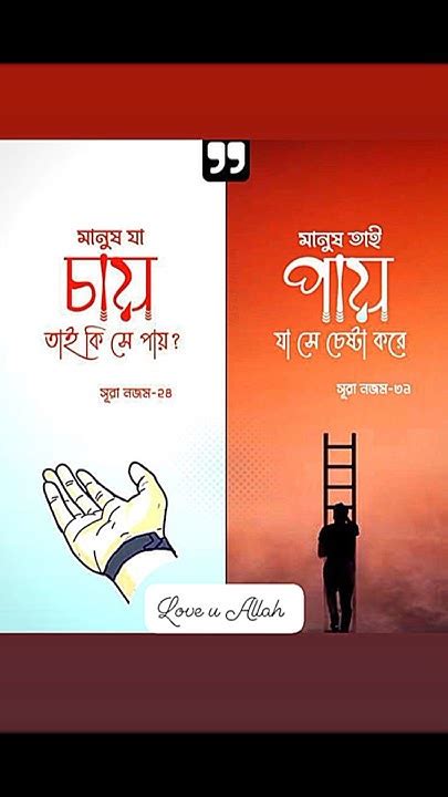 মানুষ যা চায় তাই কি সে পায়। মানুষ তাই পায় যা সে চেষ্টা করে। Viral Islamic Video Trending