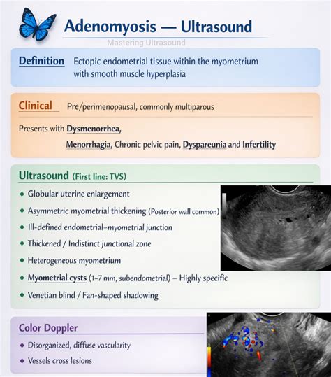 Mastering Ultrasound Dubai