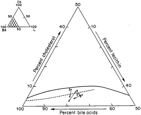 Dissolution Of Cholesterol Gallstones By Chenodeoxycholic Acid Nejm