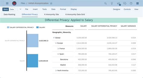 Hana Data Privacy And Anonymization Visualized Sap Community