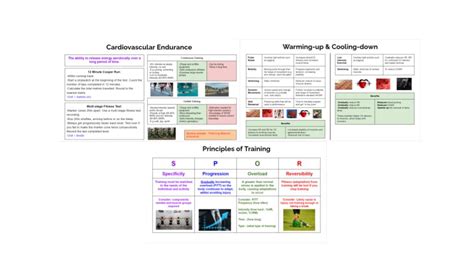 Ocr Gcse Pe Paper 1 Physical Training Knowledge Organisers Revision Sheets Teaching Resources