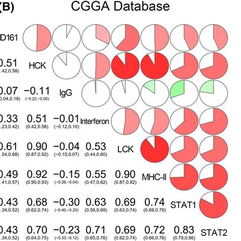 The Correlation Between Cd161 Expression And T Cell Immunity And