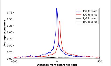 Id2 Antibody Bsa Free Nbp1 88630 Novus Biologicals