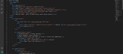 bharatintern netflixclone netflixhomepage webdevelopment