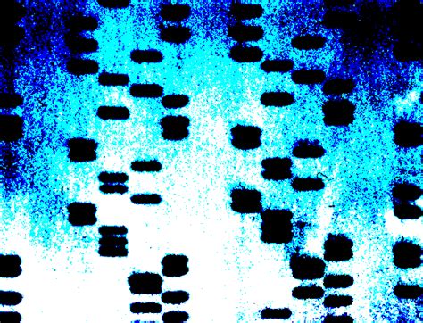 Pros And Cons Dna Fingerprinting
