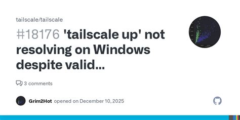Tailscale Up Not Resolving On Windows Despite Valid Connections