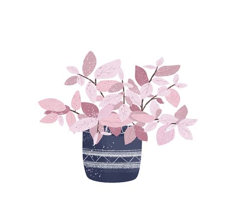 植物插画扁平风对镜贴花黄先生 站酷zcool