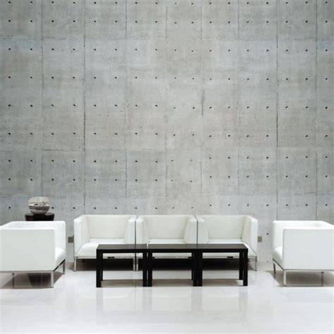 Echo Look Walls And Interiors